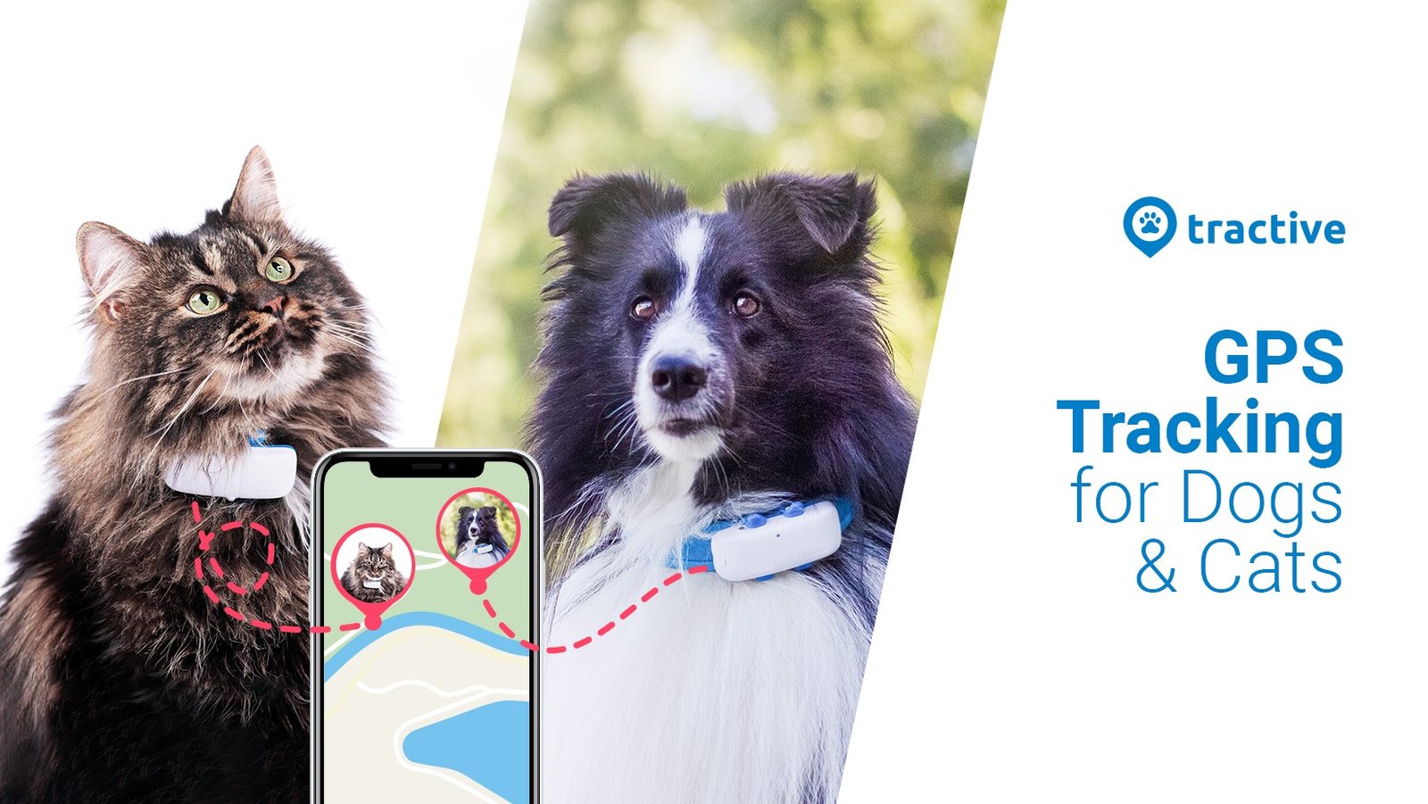 Tractive: #1 GPS tracker systeem voor kat en hond ★ Celestial Rebel